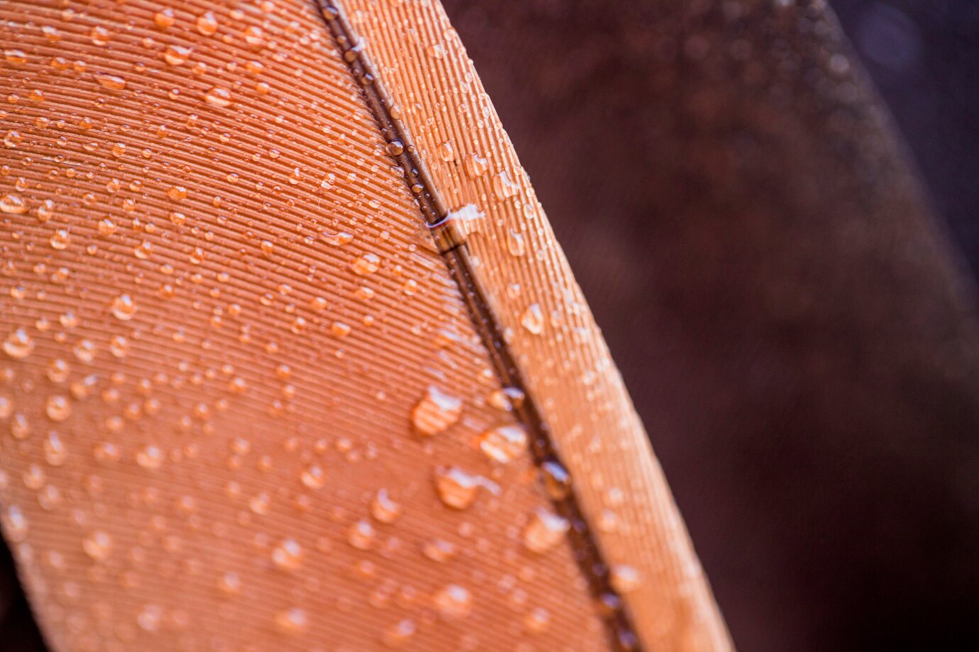 Water-Repellent Fabrics technological advancements Workwear - Inside ...